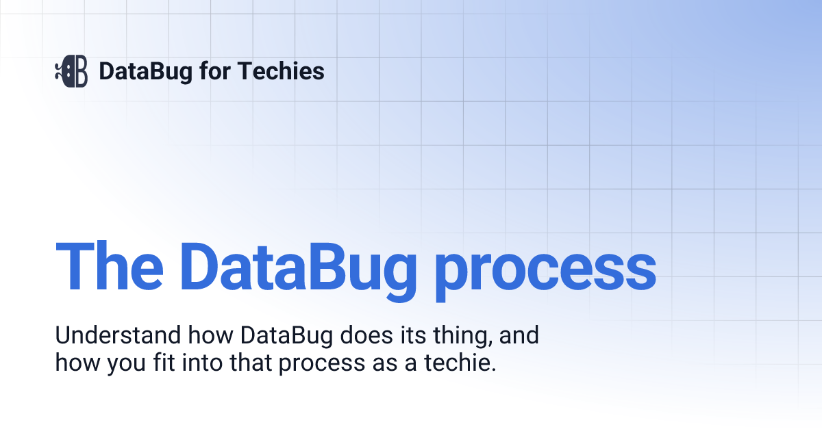 The DataBug process | DataBug for Techies